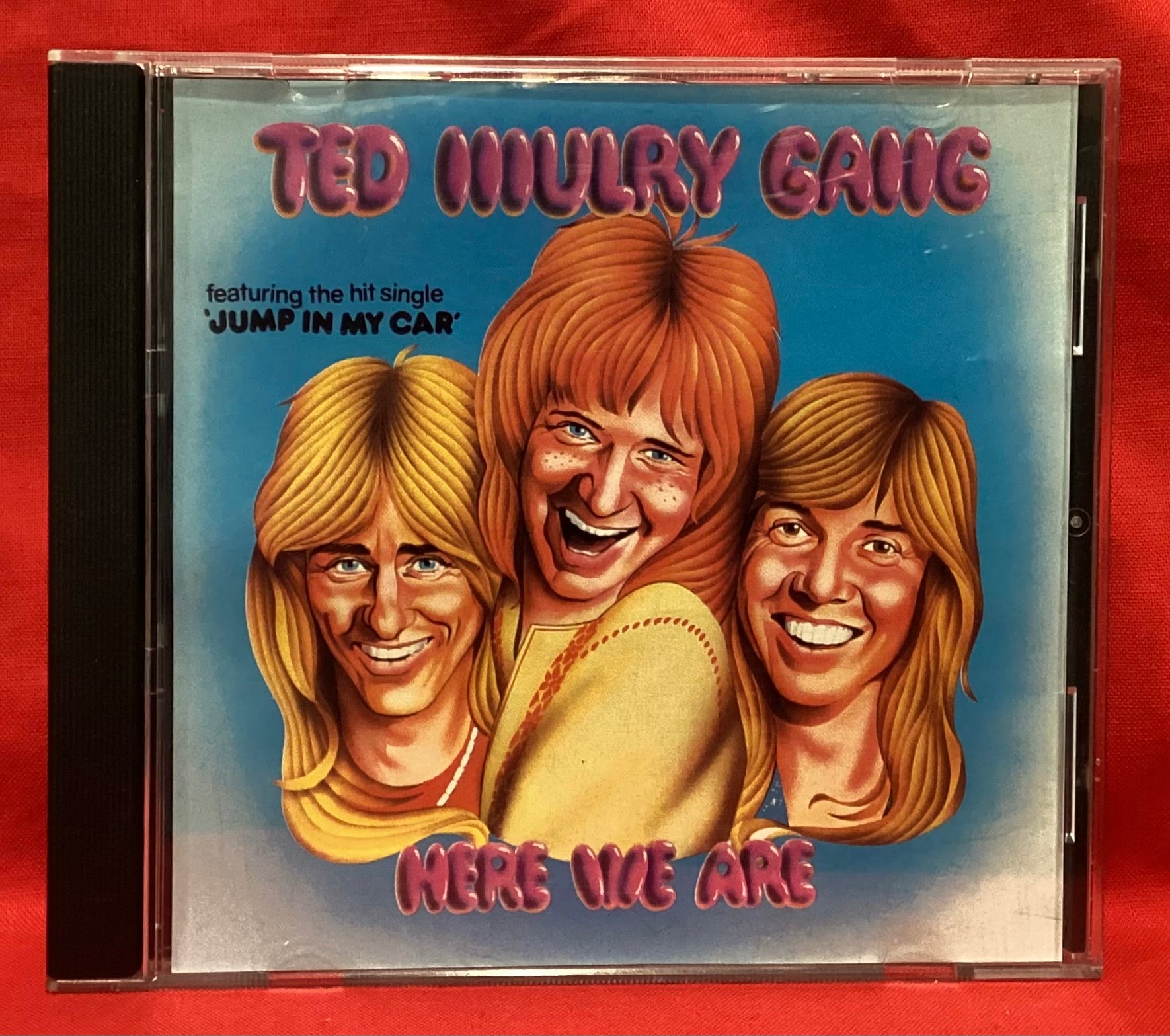 TED MULRY GANG - HERE WE ARE (RE-ISSUE ) - CD – Dixon Recycled Records